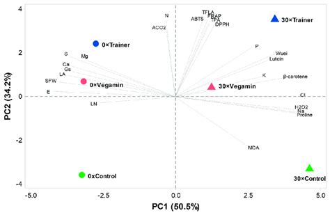 principal component loading plot and scores of the principal component