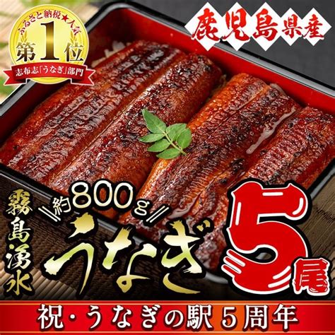 鹿児島県志布志市【ふるさと納税】うなぎ生産量日本一の鹿児島県！山田水産の霧島湧水鰻 160g以上 楽天市場ふるさと納税返礼品紹介（非公式）