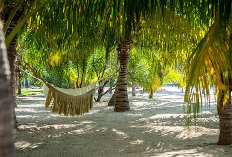 Artila Penthouse Suite Luxury Department In Isla Mujeres With 1