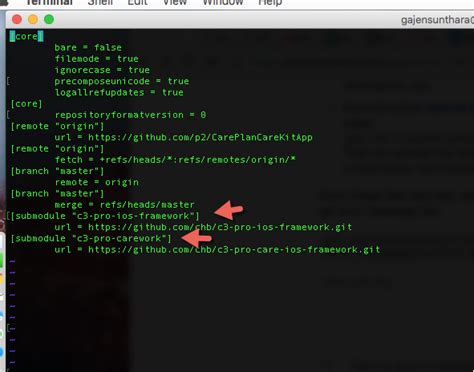 issue with adding common code as git submodule already exists in the