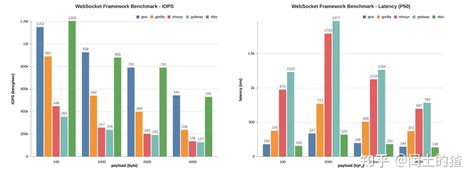 深入了解GWS Go WebSocket Server Client 使用和设计 知乎