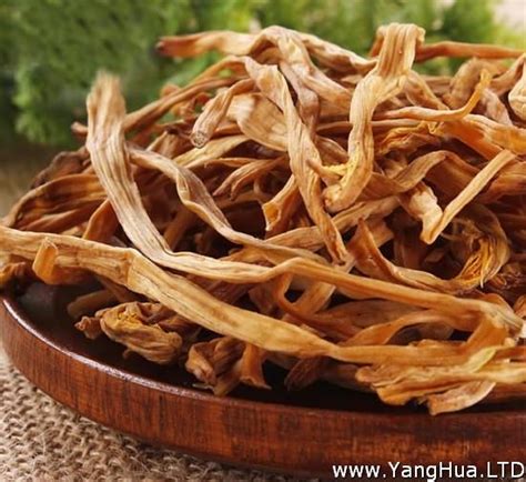 黃花菜怎麼做好吃黃花菜要曬乾後才能食用 養花網