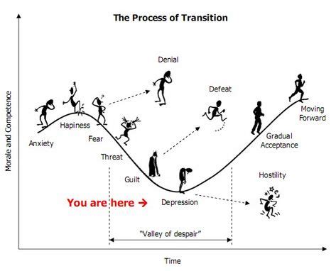 The Valley Of Despair Dialectical Behavior Therapy Behavioral