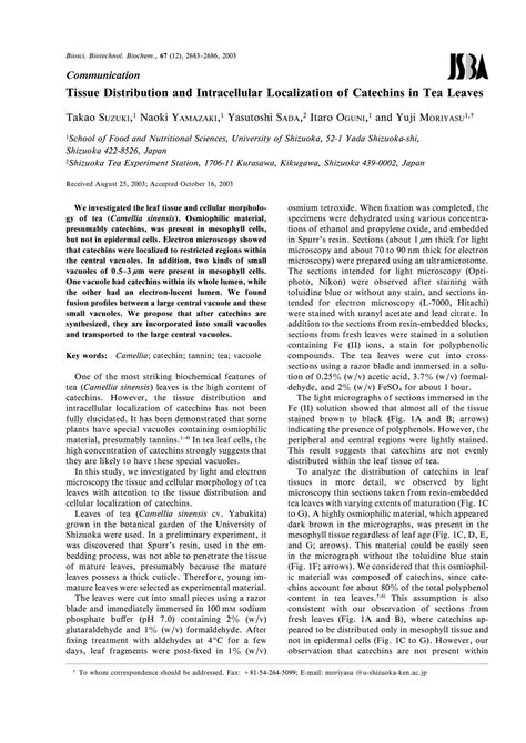 Pdf Tissue Distribution And Intracellular Localization Of Catechins In Tea Leaves