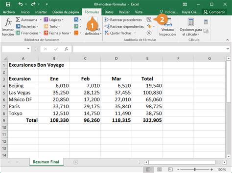Mostrar Fórmulas Customguide