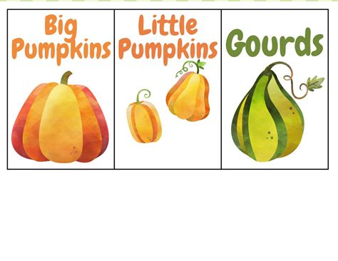 Pumpkin Patch Dramatic Play Pretend Play Classroom Dramatic Etsy