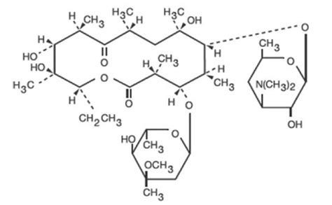 Erythromycin Tablets Package Insert