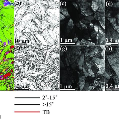Pdf Direct Observation Of Deformation Twinning Under Stress Gradient
