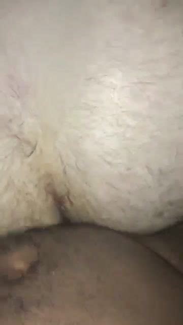 Orgy At Hotel Thisvid Com