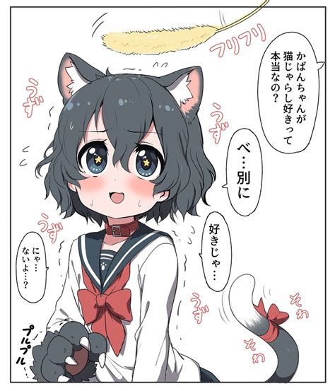 Kaban Kemono Friends Drawn By Ransusan Danbooru