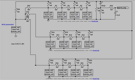 Biology Simulation With LTspice Hackaday Io