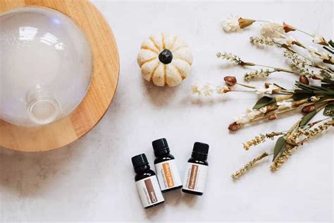 10 Essential Oil Diffuser Blends For Fall Free Printable Happy Home