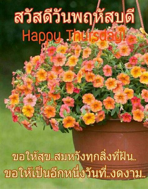 Happy Thursday Happy Day Good Morning Flowers Plants Nice Everyday Plant Nice France Planets