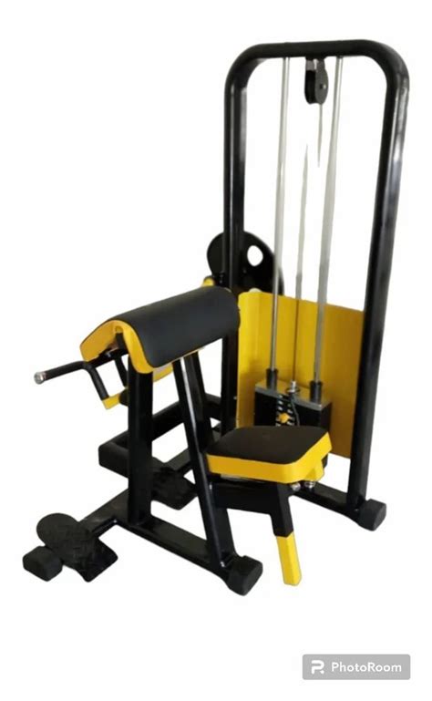 Free Weight Biceps Curl Machine At ₹ 27000 बाइसेप कर्ल In Jalandhar