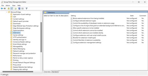 multimedia redirection for video playback and calls in a remote session
