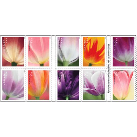 Usps Forever Postage Stamps 100 Tulip Blossoms First Class Mail