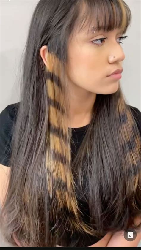 Raccoon Hair In 2025 Hair Stripping Hair Stripes Hair Streaks