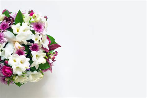 꽃다발과 배경 텍스트를 삽입할 배치합니다 블로거 축하 카드 배너 Intstagram 꽃 프리시아 장미 오키 플로럴 스프링 배경 0명에 대한 스톡 사진 및 기타 이미지