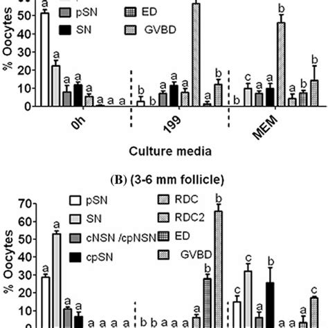 Chromatin Configurations After Oocytes From 1 2 Mm Graph A Or 3 6 Mm Download Scientific