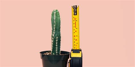 The Quick Guide To Assertiveness Become Direct Firm And Positive