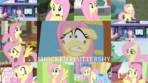 Request Shocked Fluttershy By Quoterific On Deviantart Request Shocked Fluttershy By Quoterific On Deviantart