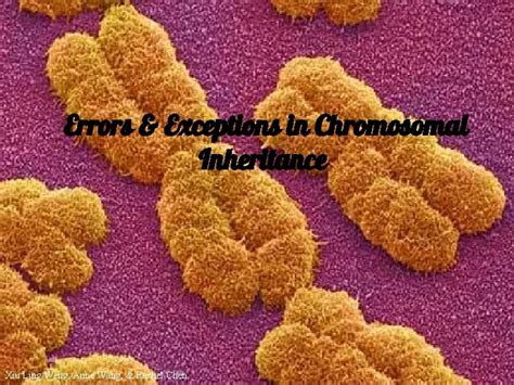 Errors Exceptions In Chromosomal Inheritance Xiu Ling Weng