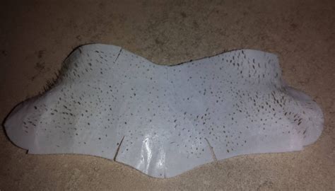 Oddly Satisfying Pictures Of Used Pore Strips