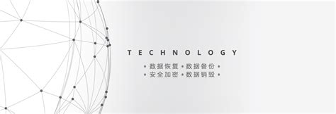 电脑硬盘数据恢复手机误删数据恢复服务器数据恢复 伟特电脑科技（上海）有限公司