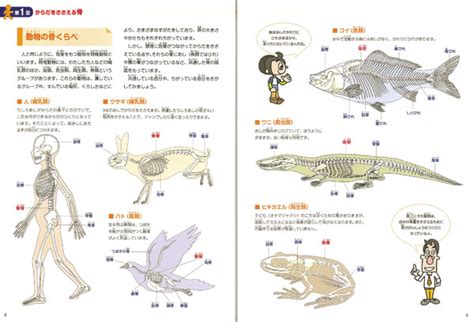 リスの骨と筋肉の検索結果 Yahoo きっず検索
