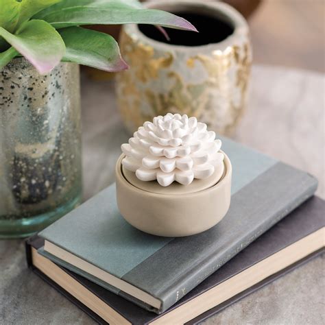 Porcelain Succulent Essential Oil Diffuser Tasha And Co