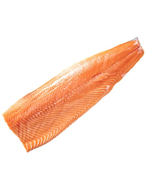 Chum Salmon Caught