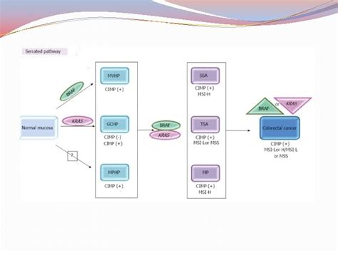 Molecular Pathological Classification Of Colorectal Cancer Crc Dr