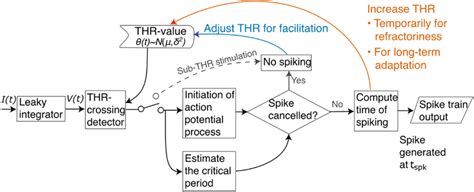 Flowchart Of The Present Model That Builds On The Biphasic Leaky Download Scientific Diagram