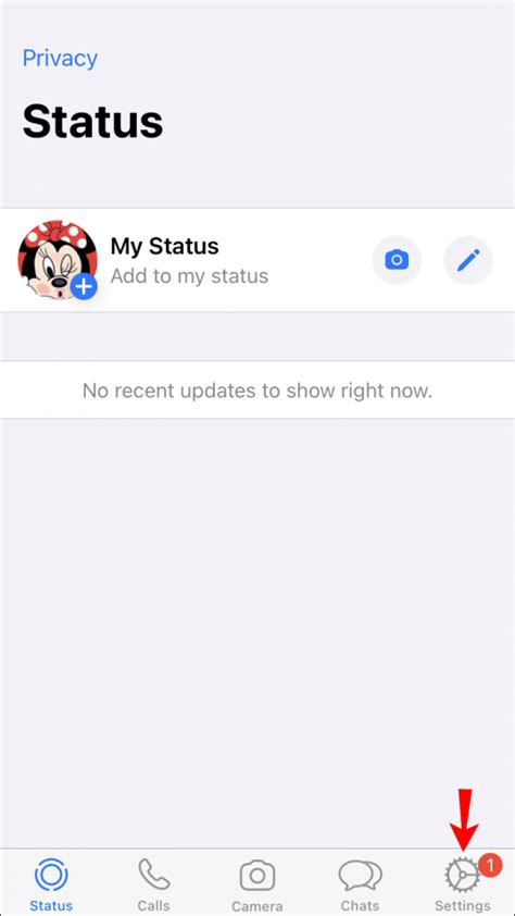 How To Hide Your Online Status On WhatsApp