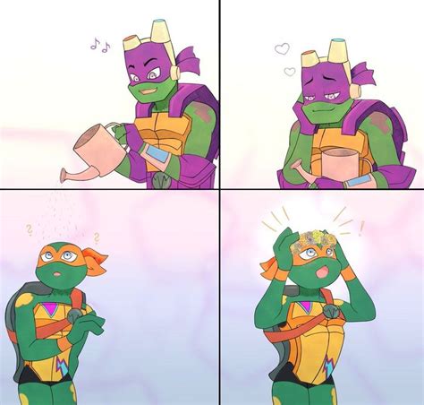 Tmnt Funny Cute And Sad Pictures Adorable Mikey Pics You Guys Wont Survive This Wattpad