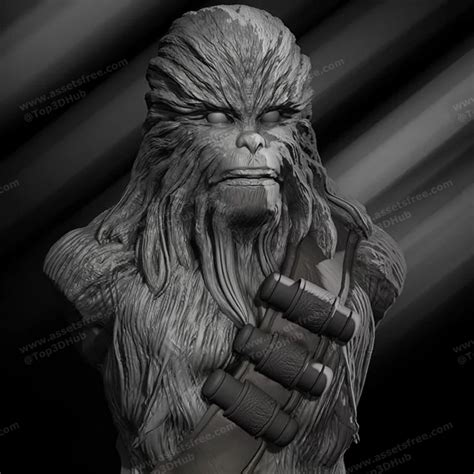 Chewbacca Free High Quality Models