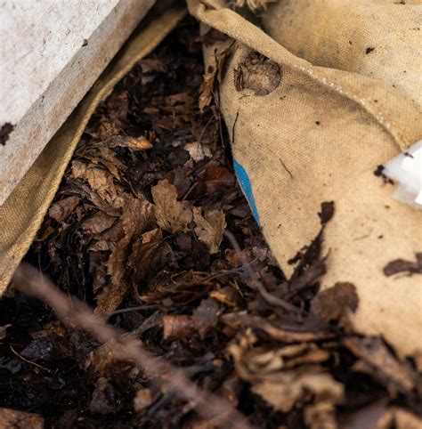 Why Slow Cold Composting Is The Easy Approach For Gardeners