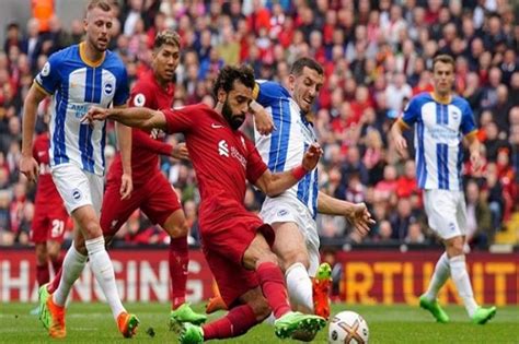 صلاح أساسيا في تشكيل ليفربول ضد برايتون يلاكورة