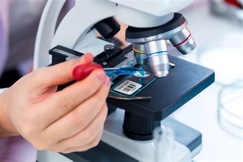 Slide Labels Electronic Imaging Materials