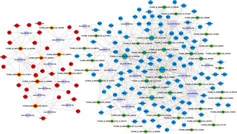 the long noncoding rna lncrna messenger rna mrna micro rna mirna