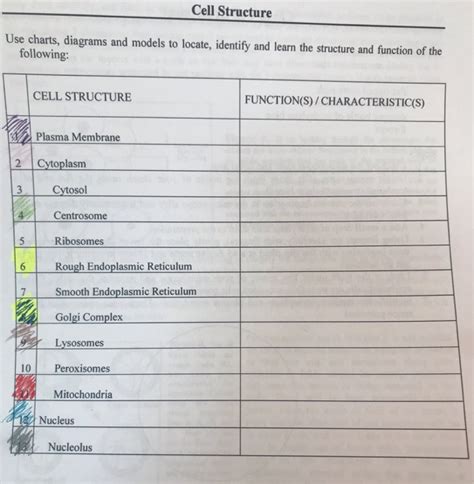 Cell Chart Of Functions And Structures