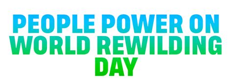 Trees For Life Carbon Neutrality And Rewilding McConks SUP Affordable Sustainable