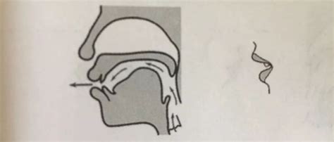 倒e发音倒写e音标发音短元音倒e怎么发音大山谷图库