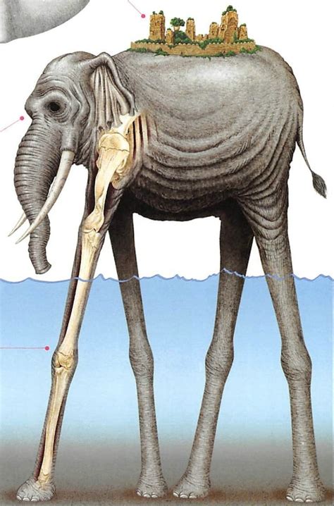 10 Fakta Zunesha Atau Zunisha One Piece Sosok Makhluk Terbesar Dan