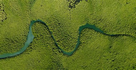 Cosh Checks Belgian Ecocheques Heres What You Need To Know Cosh