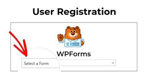 How To Set Up Custom User Meta Fields With The User Registration Addon