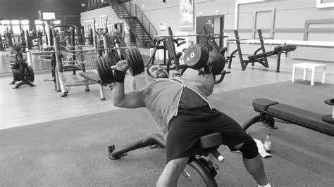 تمرين صدر دنبل Youtube