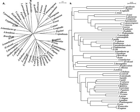 Team Upo Sevilla Foundational Advances Minitn7 Bioinformatics Whole