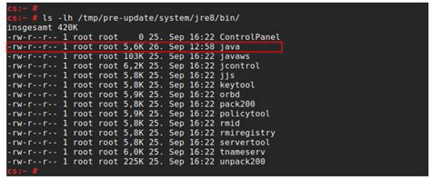 Ckbcryptshare Doesnt Start After Rollback To Previous Version