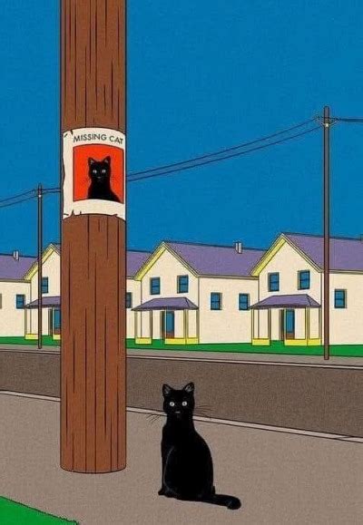 Missing Cat Art By Simon Bailly Tumbex